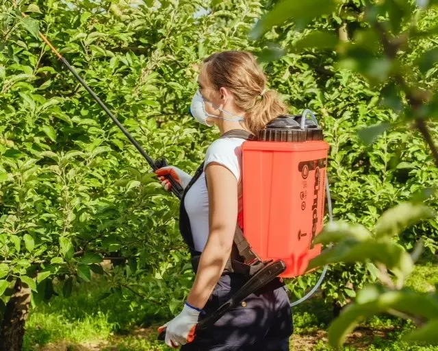 Neptune Super 15L Knapsack Sprayer | Kwazar